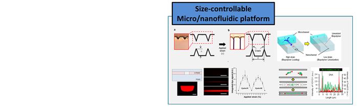 Single Molecule Cell Dynamics Lab